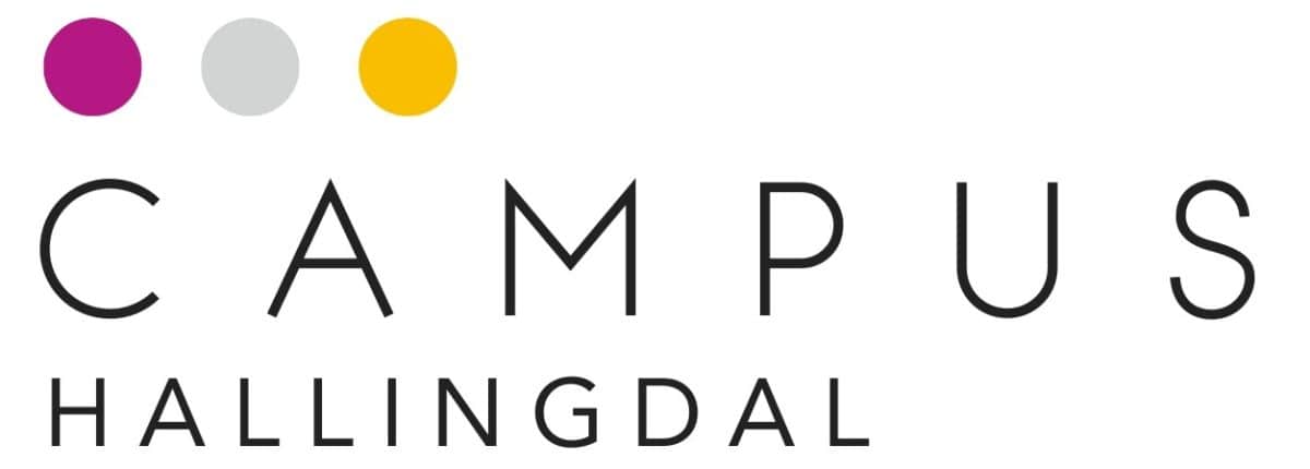 Tema: Campus Hallingdal - En ny motor for vekst - Hallingdal Næringshage AS